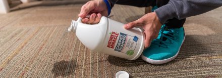 5 Best Carpet Cleaning Solutions - Sept. 2025 - BestReviews