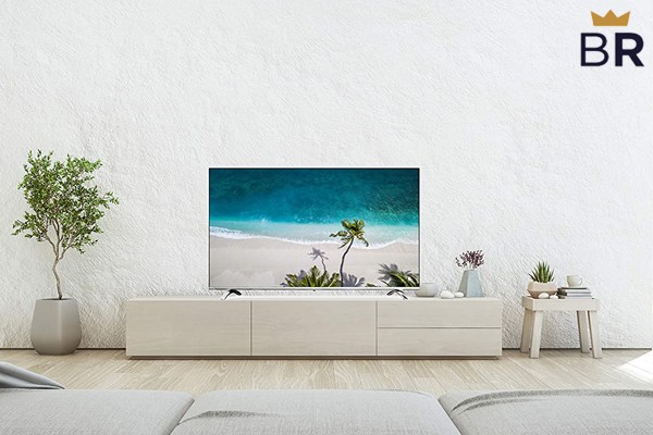 The 5 Best 50 Inch TVs for Nov. 2022 | BestReviews